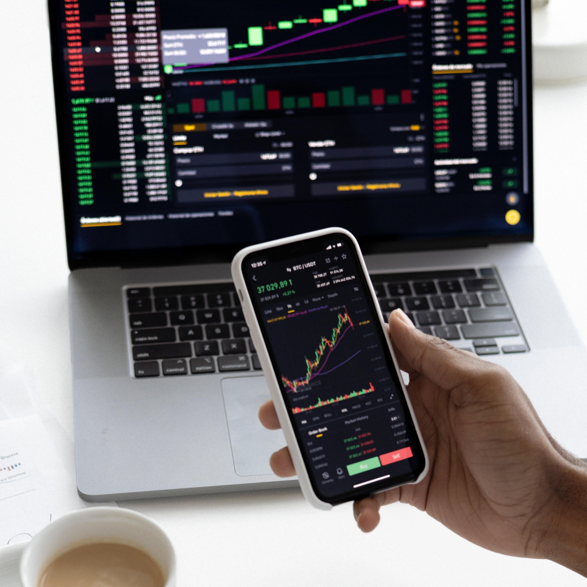 Insights - Holland Mountain